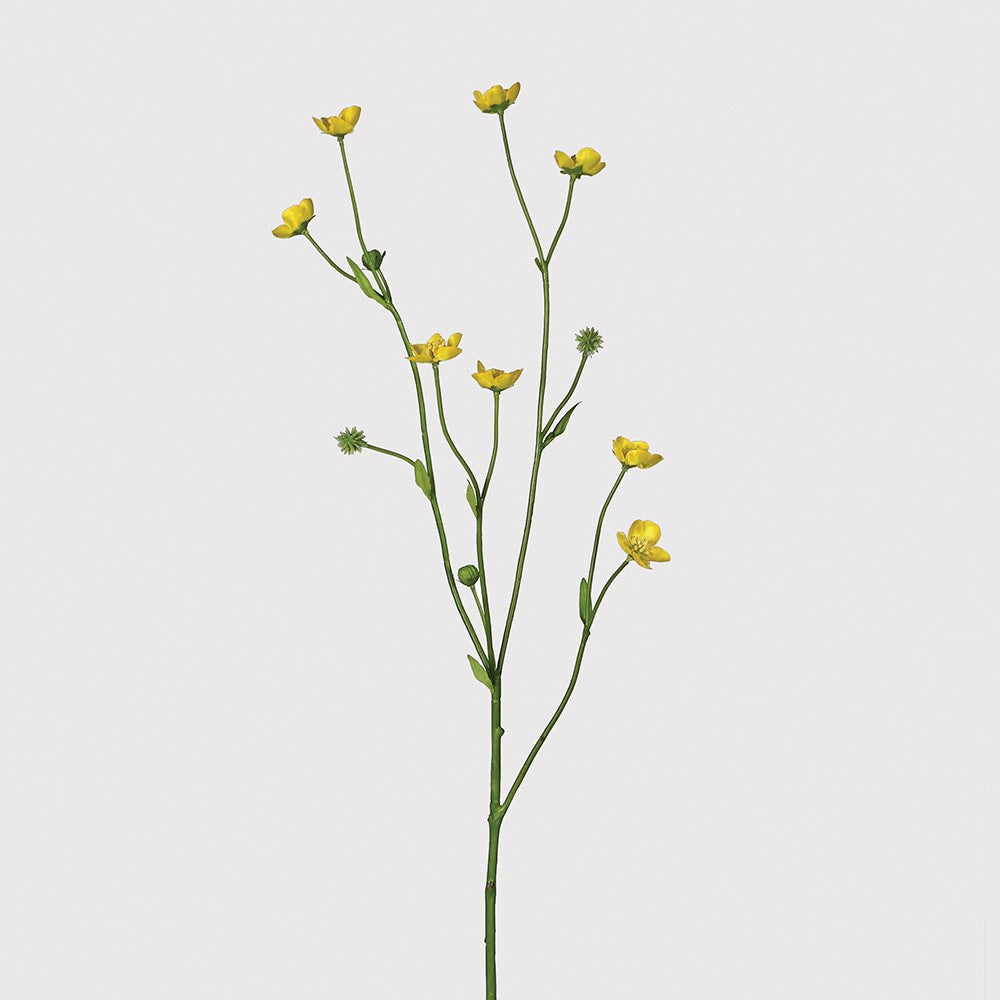 Yellow Meadow Buttercup Spray, H70cm - - Liv's Solihull